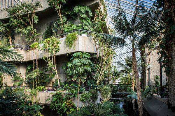THE BARBICAN CONSERVATORY